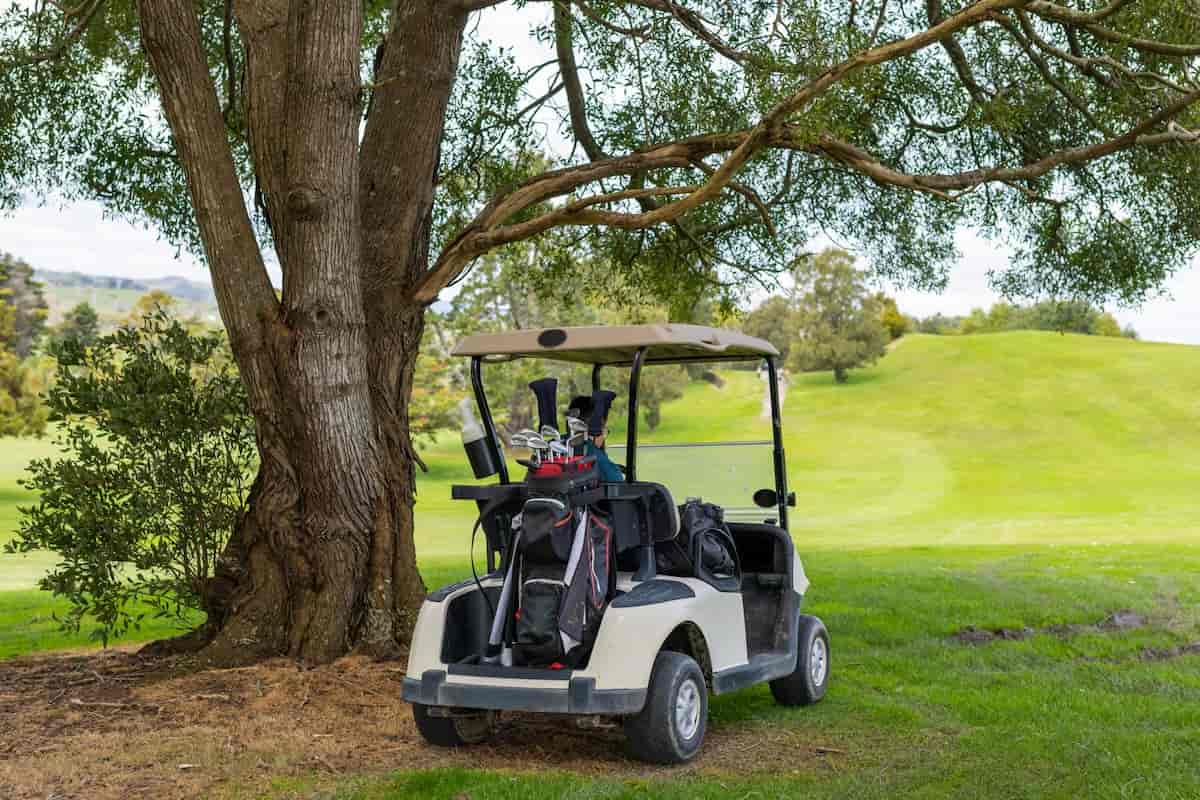 Why Golf Cart Accidents Are on the Rise in the U.S. - Something About ...